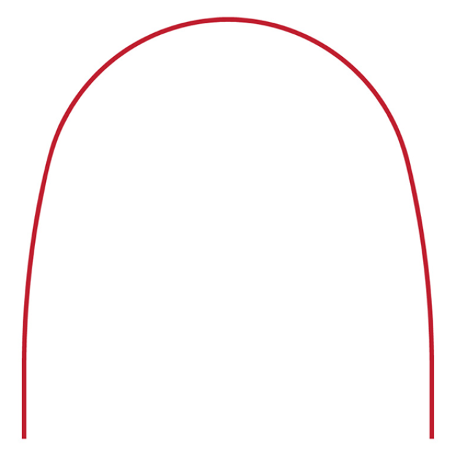 Arch Forms | American Orthodontics